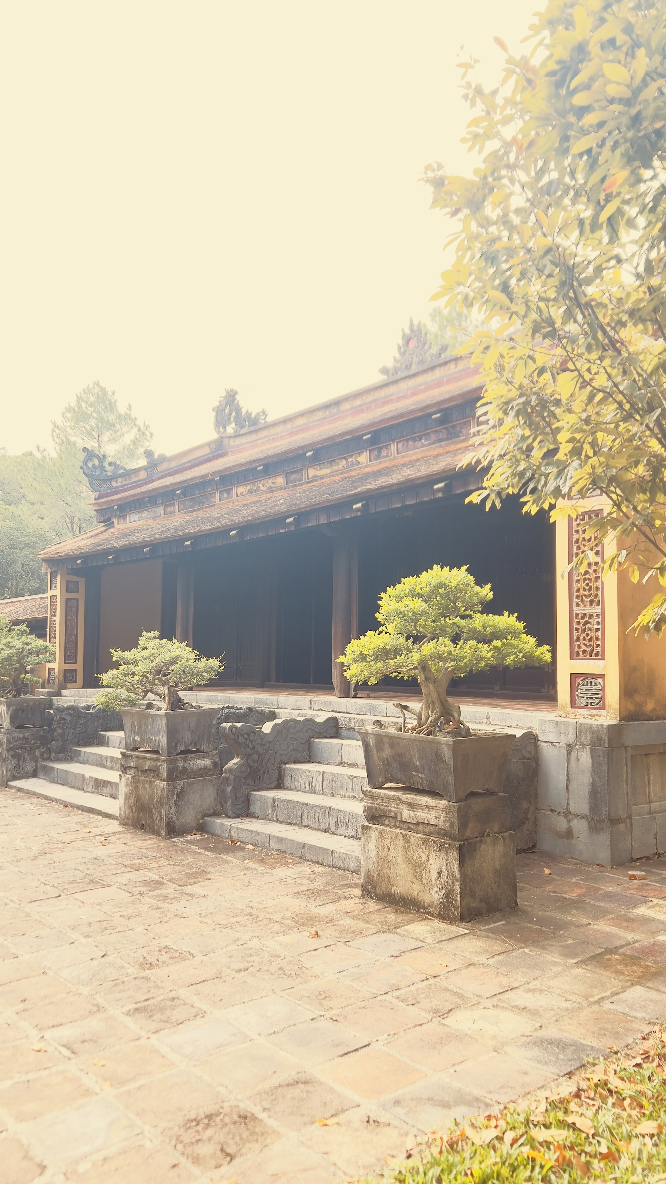 image_db00653c-c9bd-48b4-aea2-c0e70ece56fa – A MINHA GRANDE VIAGEM | E ...